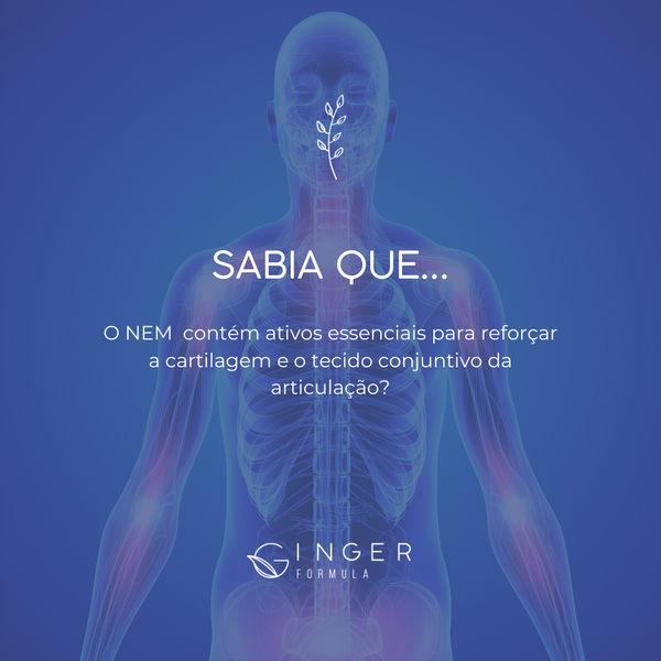 Osteoaid - Suplemento Alimentar Superfoods | Gingerformula